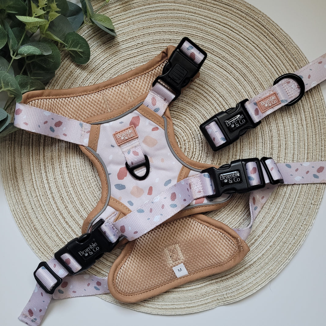 3-Point Adjustable Harnesses – Bramble and co