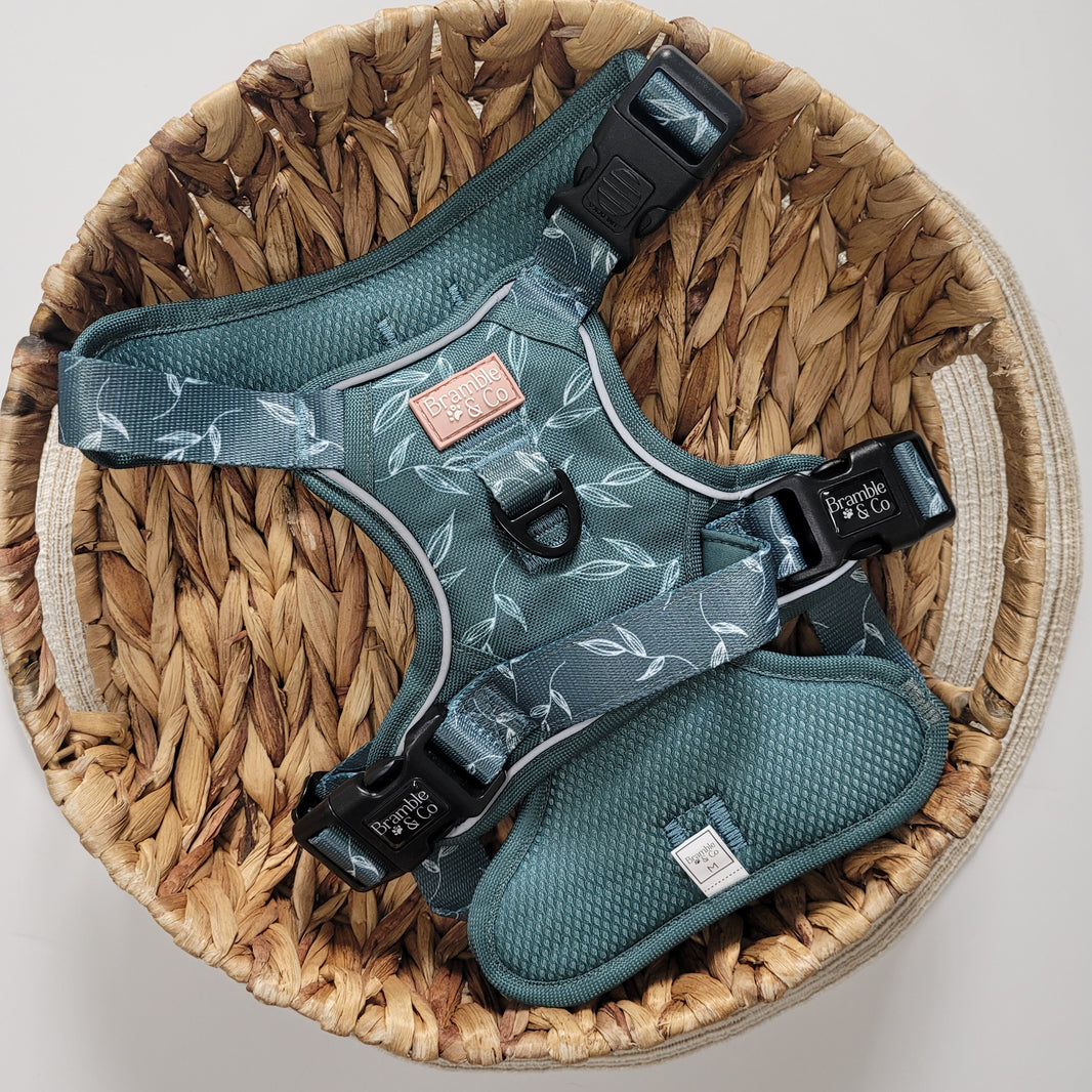 3-Point Adjustable Harnesses – Bramble and co