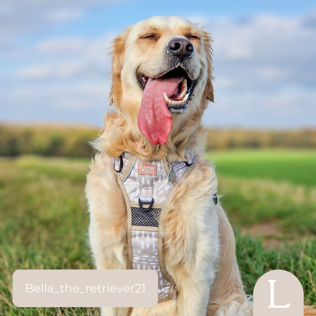 3-Point Adjustable Harnesses – Bramble and co