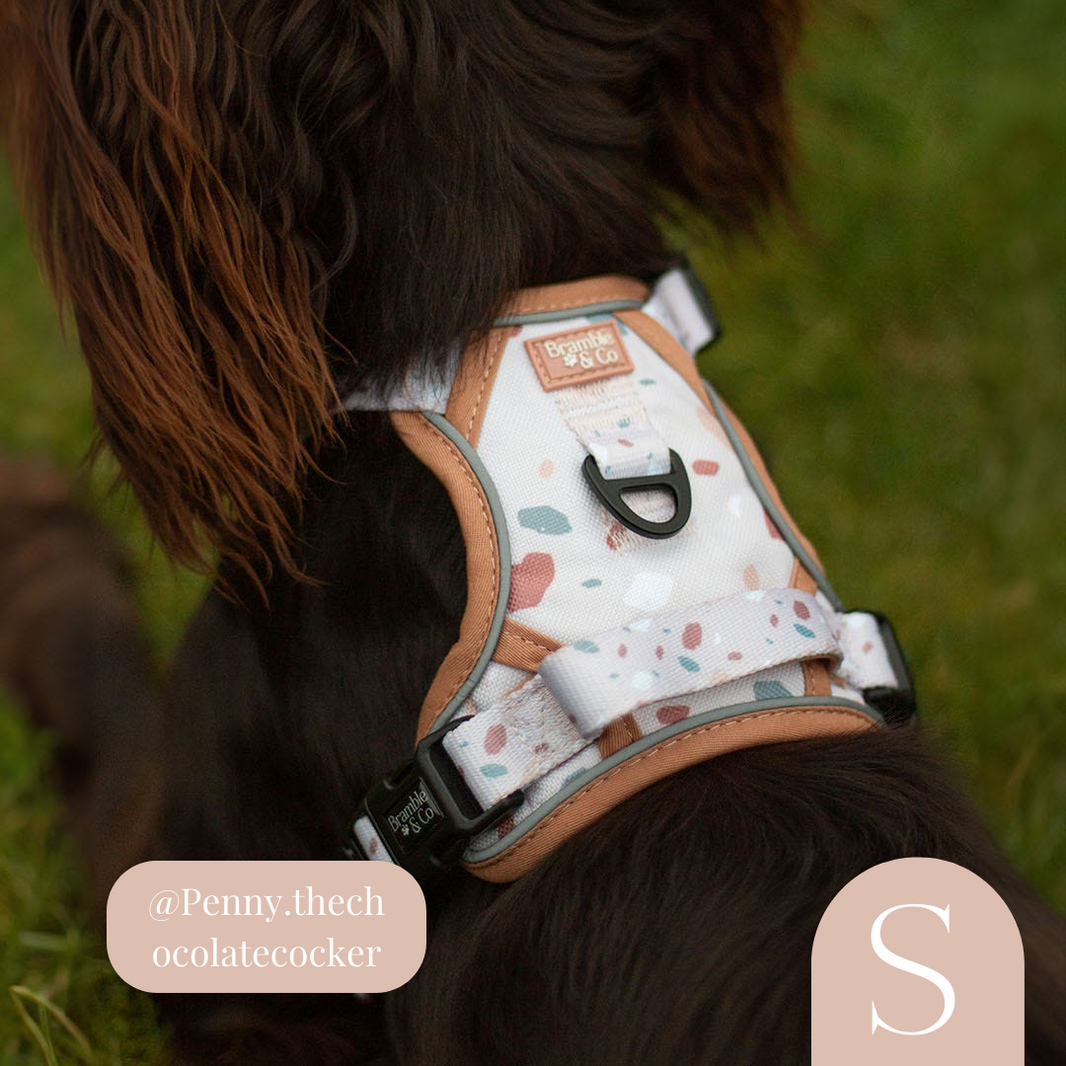 3-Point Adjustable Harnesses – Bramble and co