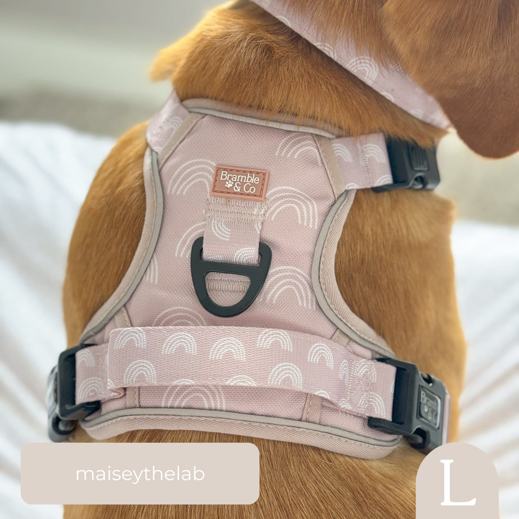 3-Point Adjustable Harnesses – Bramble and co